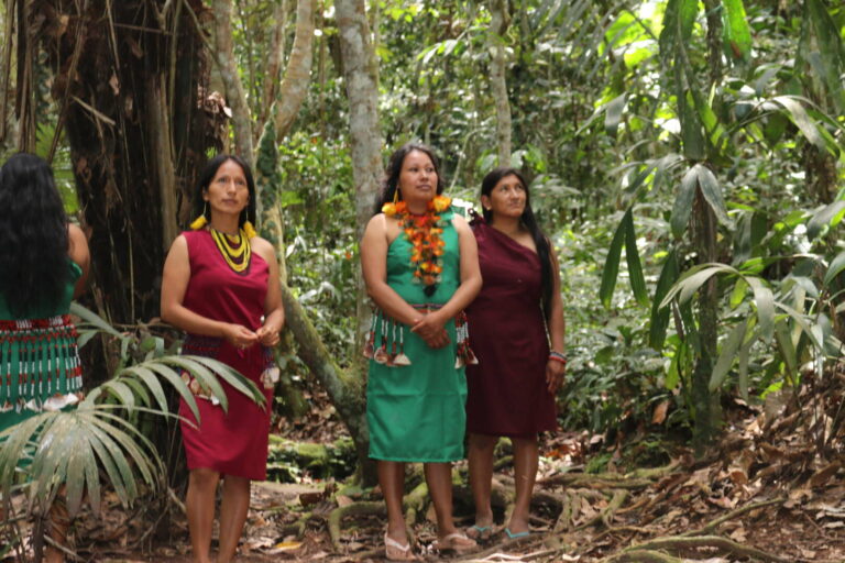 La Mujer Awajún, hija de Nugkui, semillera del futuro - Diario Voces