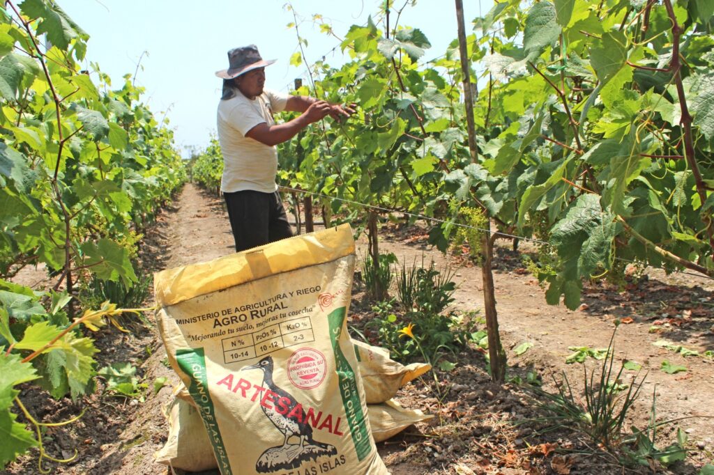 MIDAGRI: Agro Rural recolectará 24 mil toneladas de guano de las islas ...