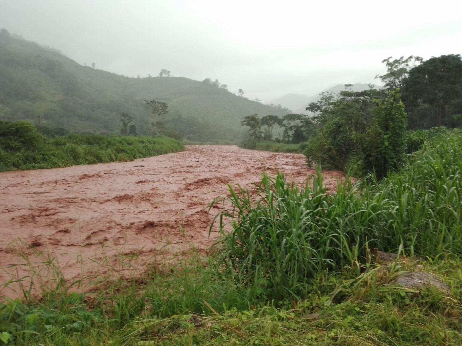 Friaje en la Amazonía peruana: Alerta naranja por lluvias intensas y ...